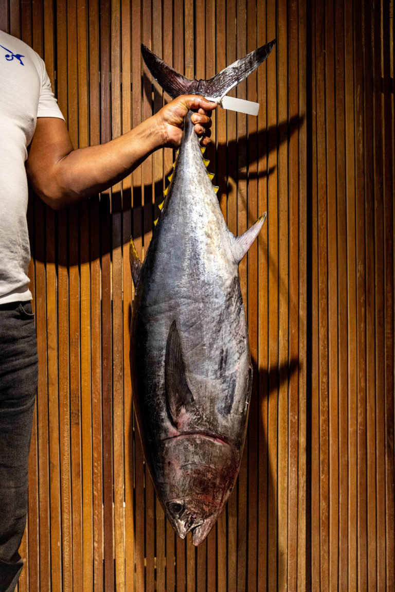 Les Bains du Castel - Les Bains du Castel
